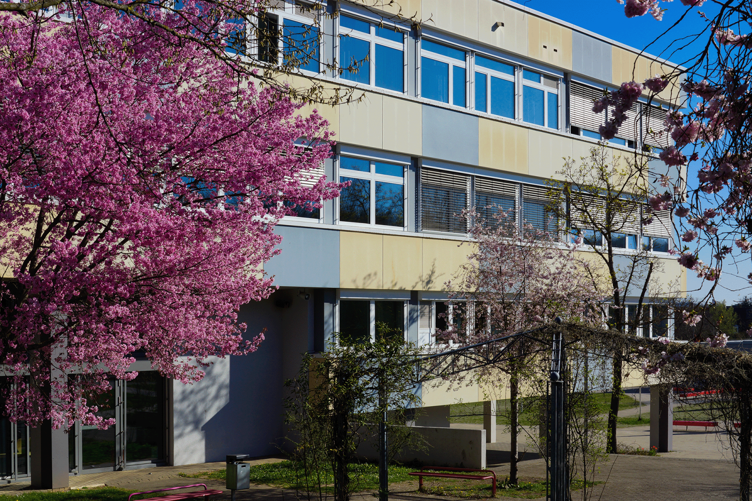 Exkursion des Kunst-Leistungsfachs zum Winterfest der Akademie Schloss Solitude – Solitude ...